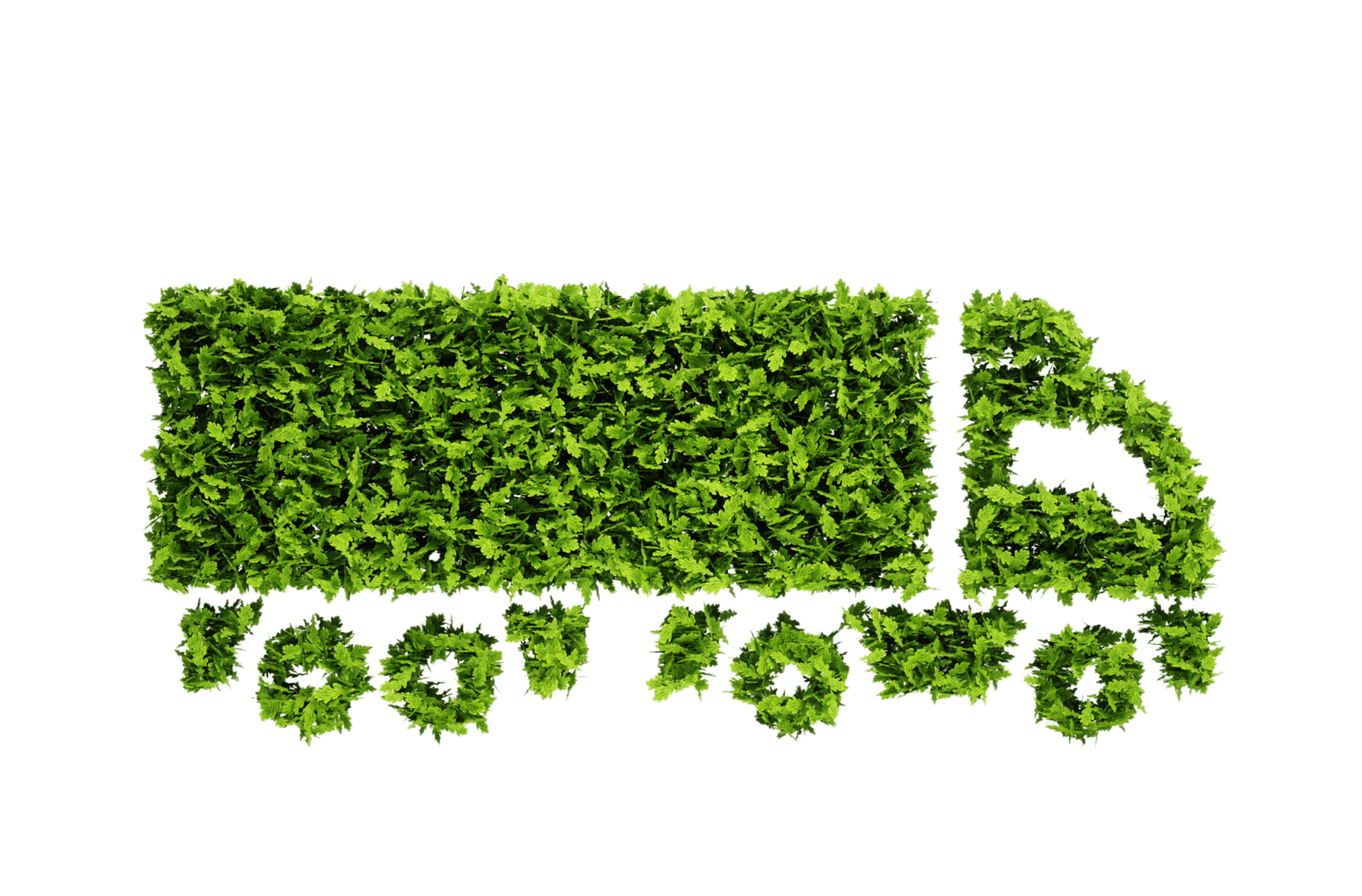 Solutions - Paper Transport